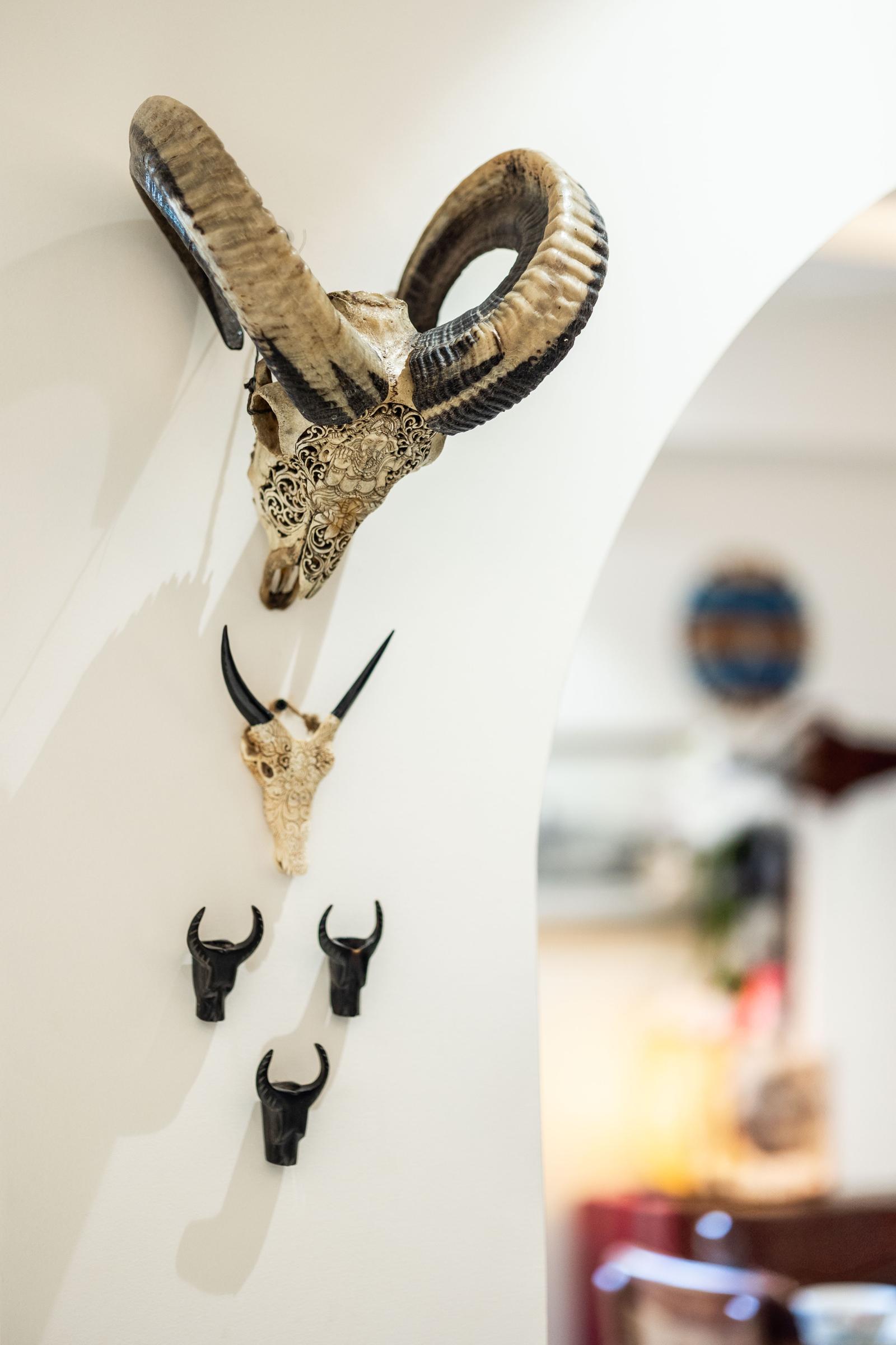 Interior Design Project by Shagun Singh: Details of the Project at ...